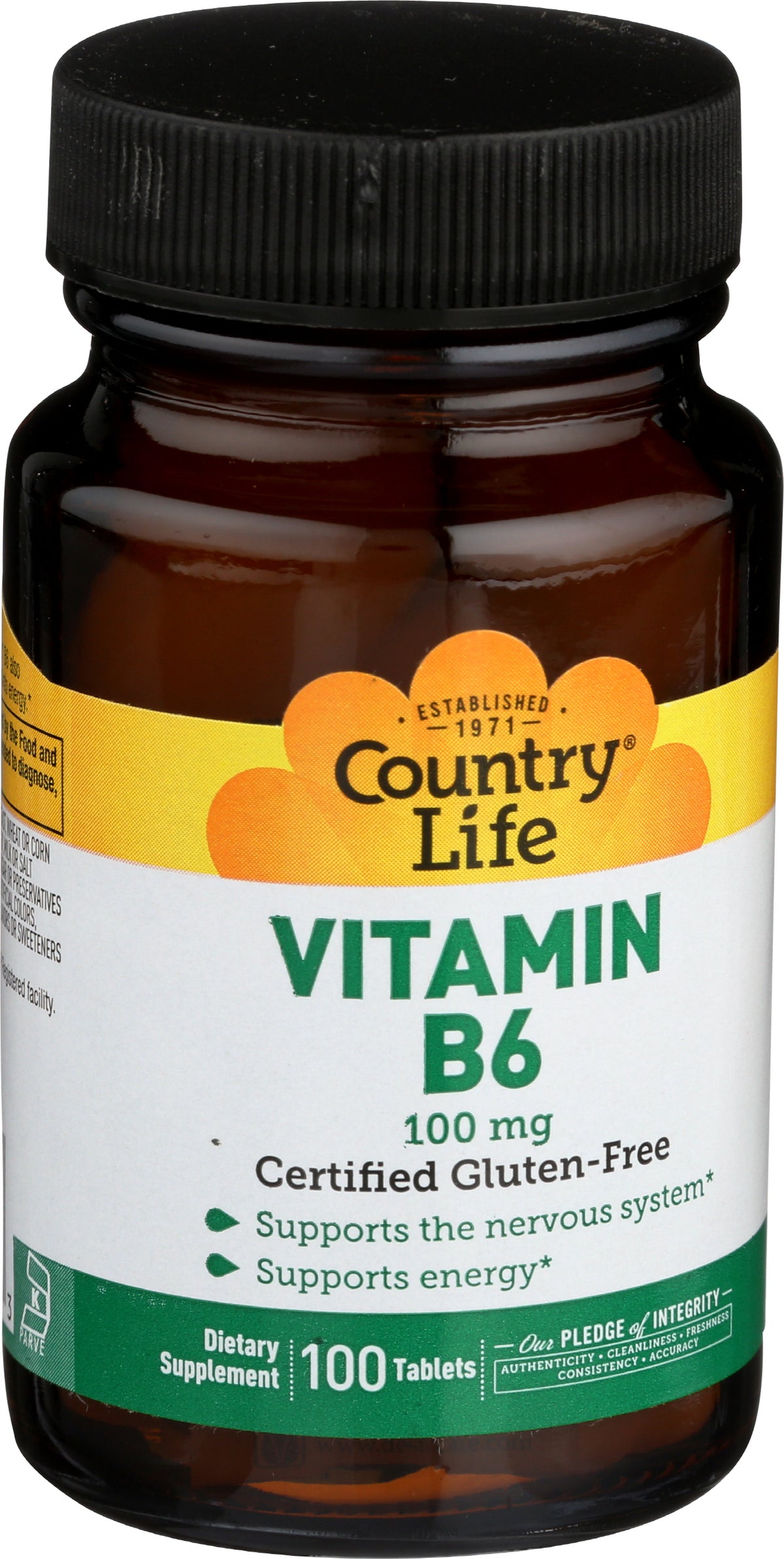 Vitamin B6 100mg, 100 tab — Natures Pick Market