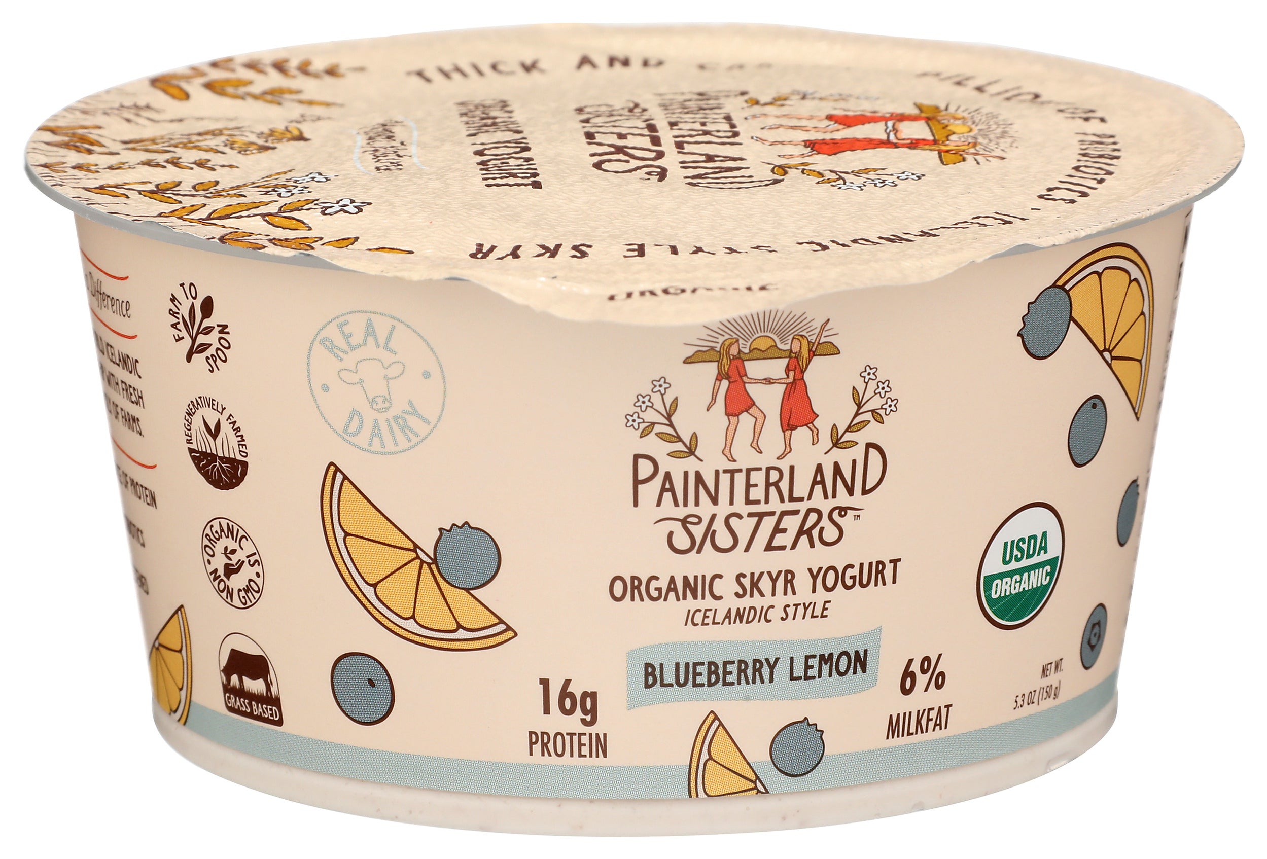 Skyr Yogurt, Blueberry Lemon, Org, 5.3 oz — Natures Pick Market